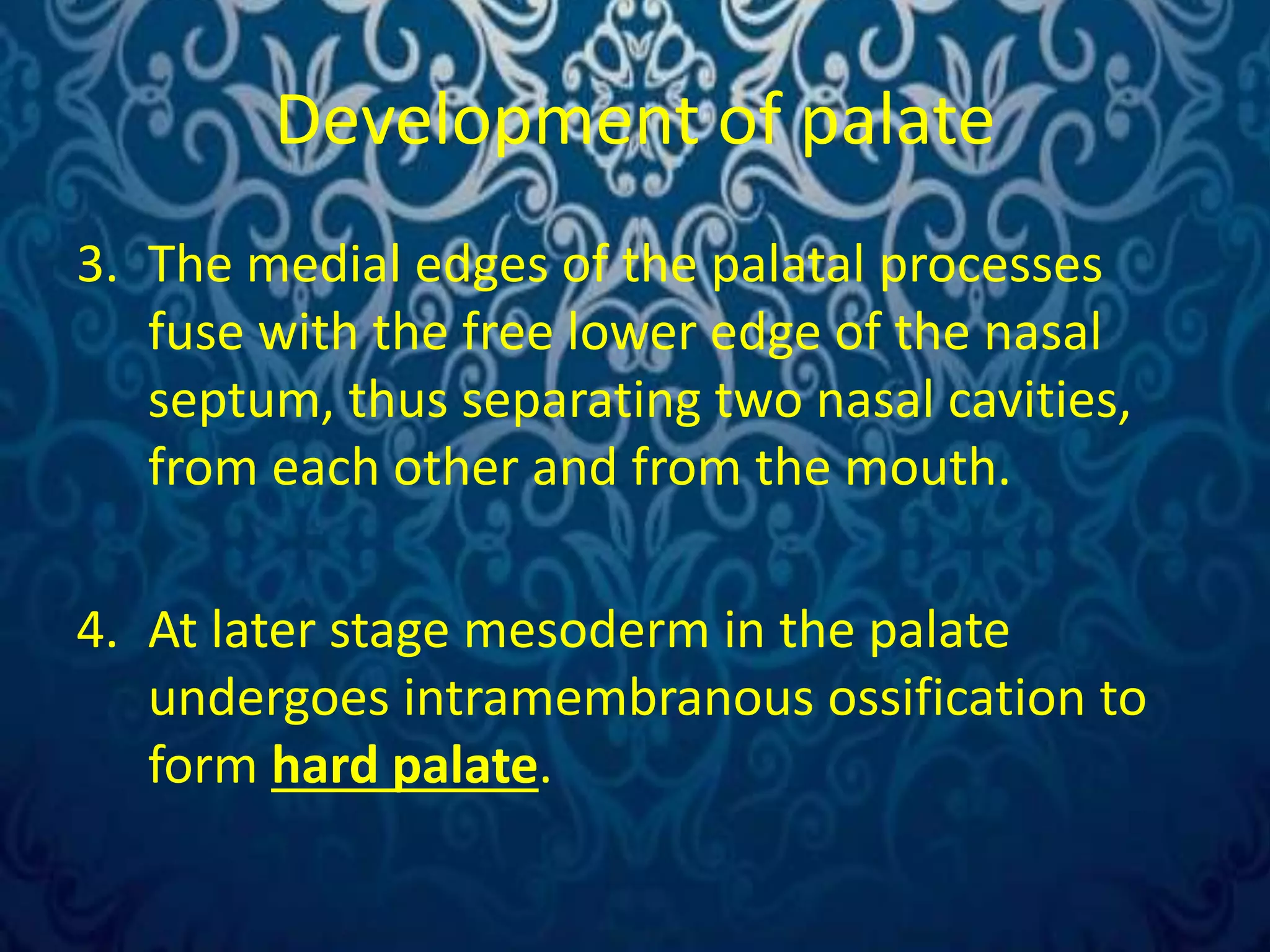 Surgical anatomy of palate by Dr. Amit Suryawanshi .Oral ...