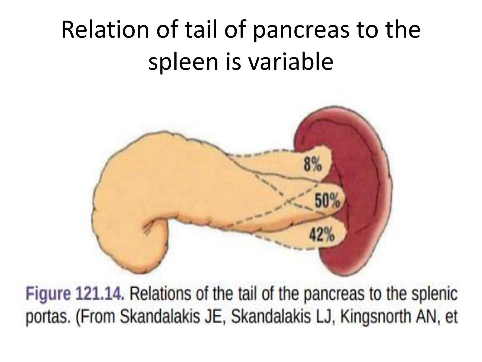 SURGICAL ANATOMY OF PANCREAS INTRO..pptx
