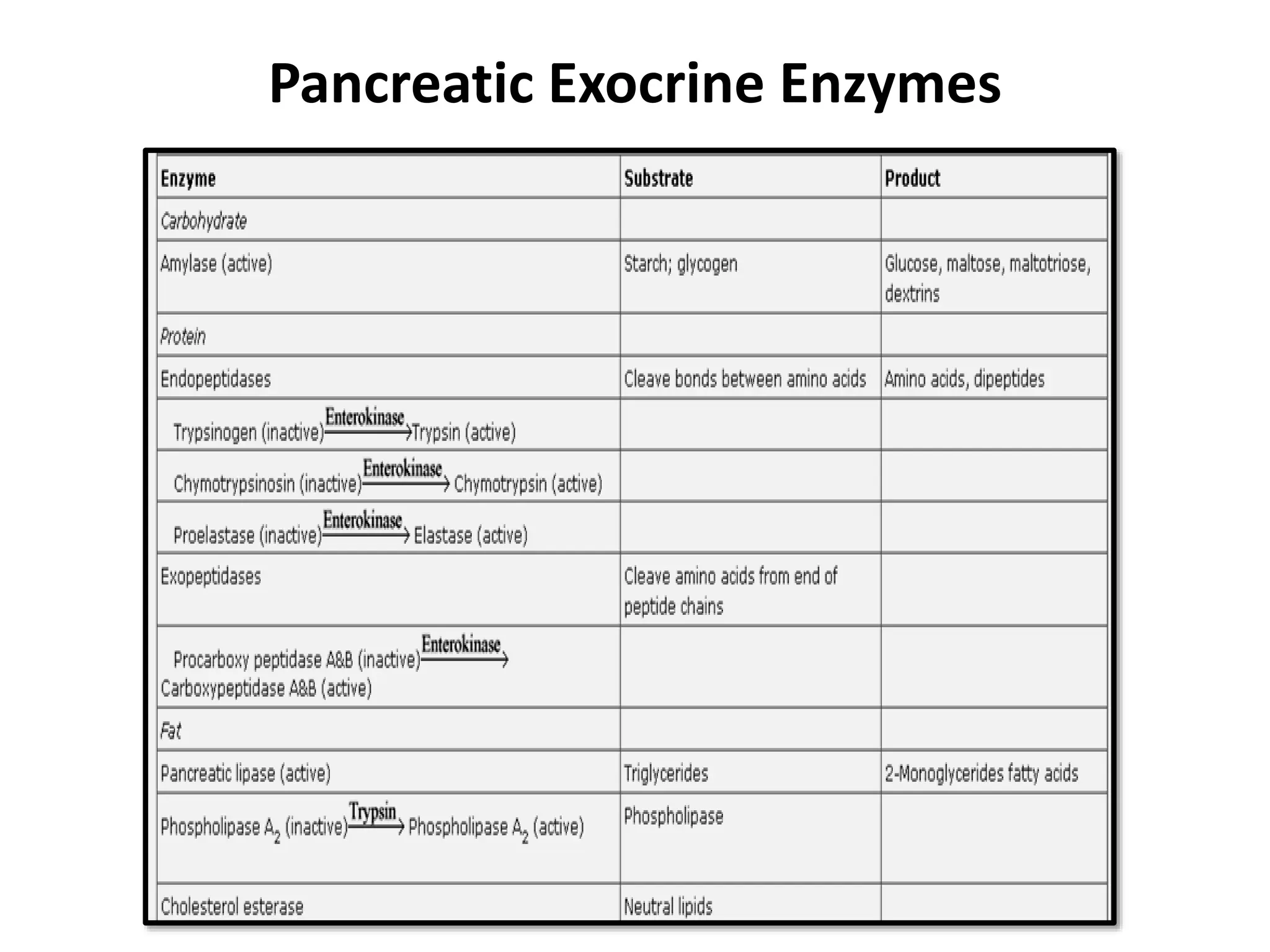 SURGICAL ANATOMY OF PANCREAS INTRO..pptx