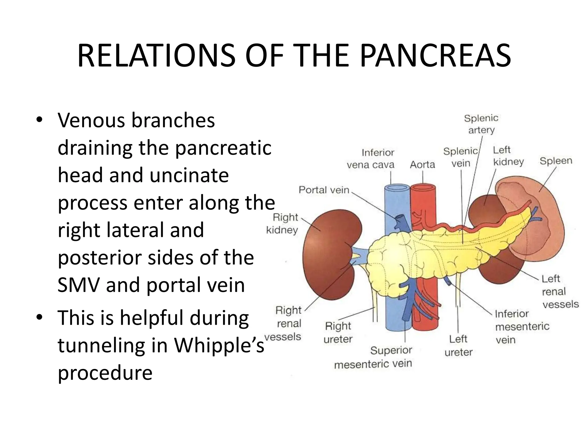 SURGICAL ANATOMY OF PANCREAS INTRO..pptx