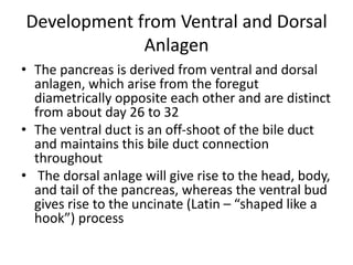 SURGICAL ANATOMY OF PANCREAS INTRO..pptx
