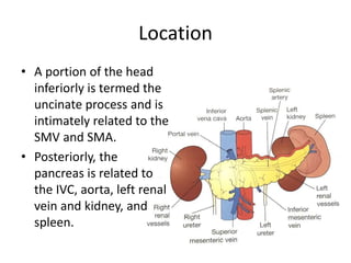 SURGICAL ANATOMY OF PANCREAS INTRO..pptx