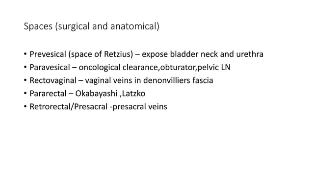 Surgical anatomy of pelvis | PPTX | Pregnancy | Reproductive Health