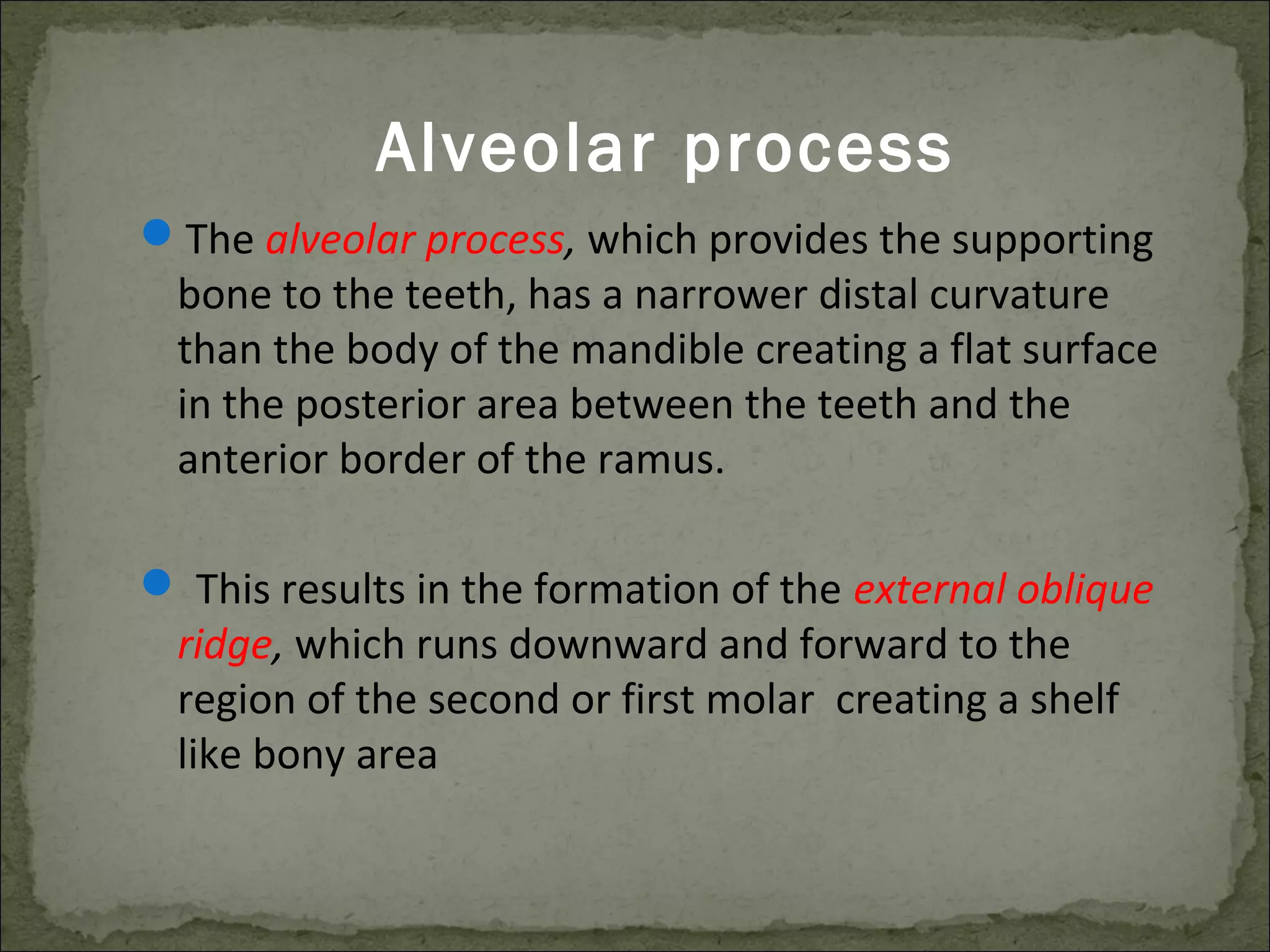 Surgical anatomy of periodontium and related structures | PPT