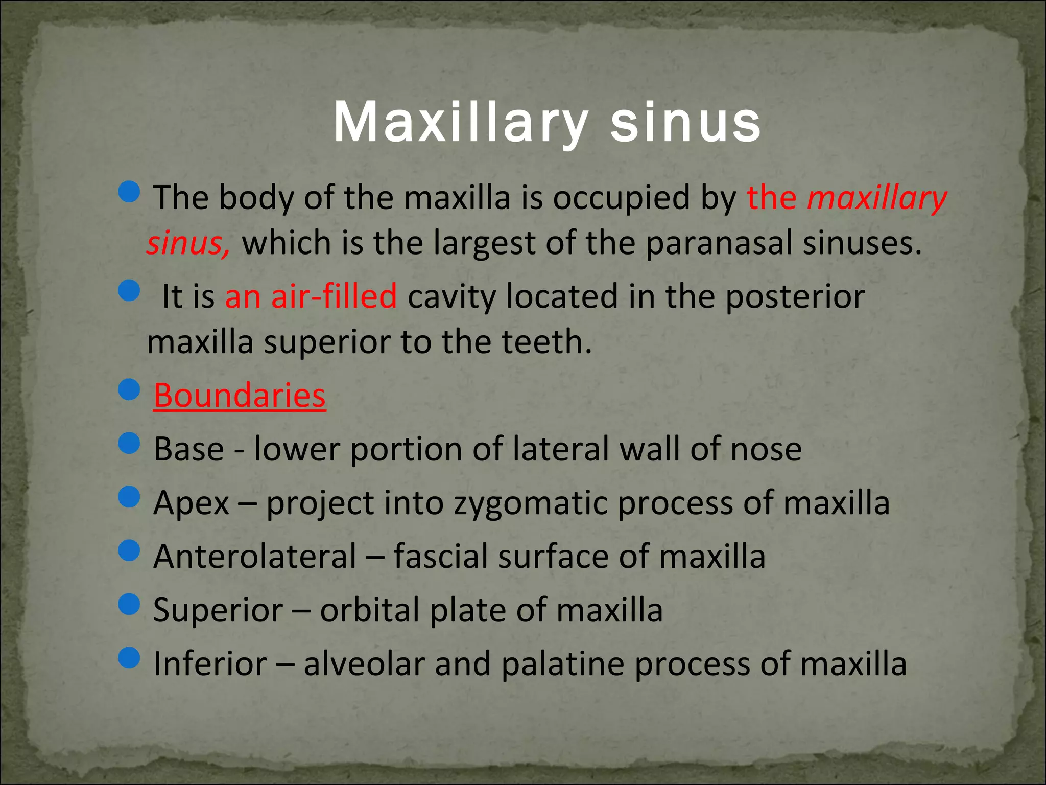 Surgical anatomy of periodontium and related structures | PPT