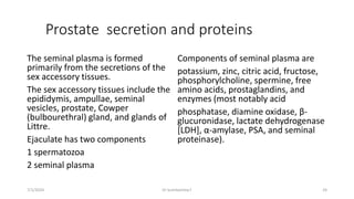 Surgical anatomy of prostate and BPH Pathophysiology.pptx