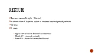 Surgical anatomy of rectum & Anal canal_kritika.pptx