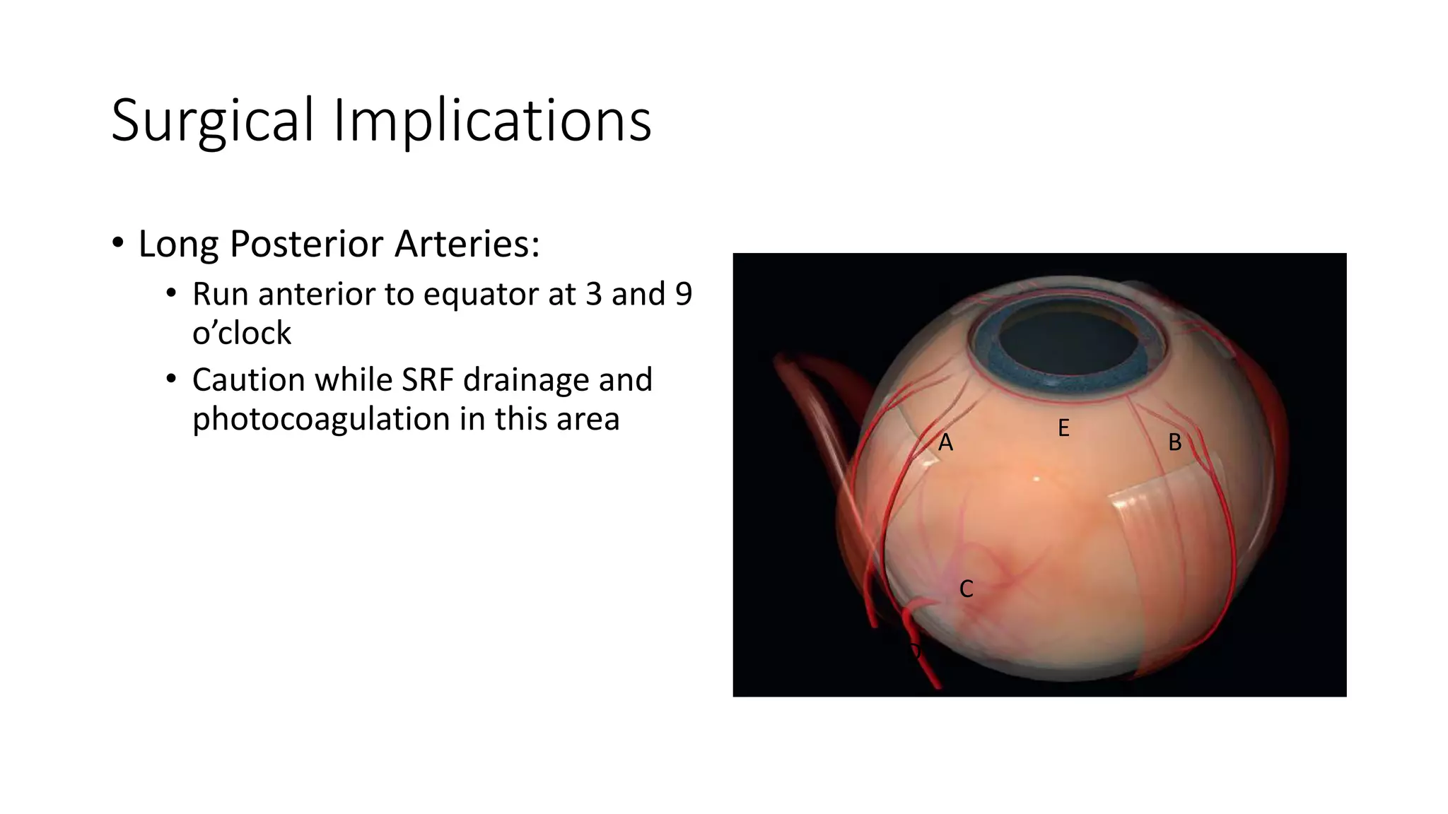 Surgical anatomy of retina | PPTX