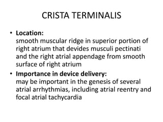 Surgical anatomy of right atrium | PPTX