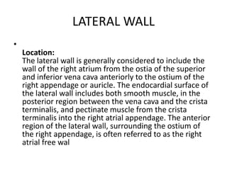 Surgical anatomy of right atrium | PPTX