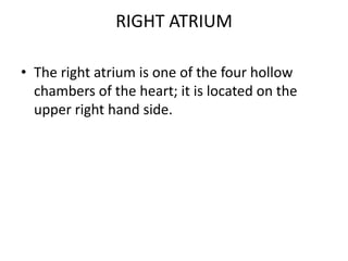 Surgical anatomy of right atrium | PPTX