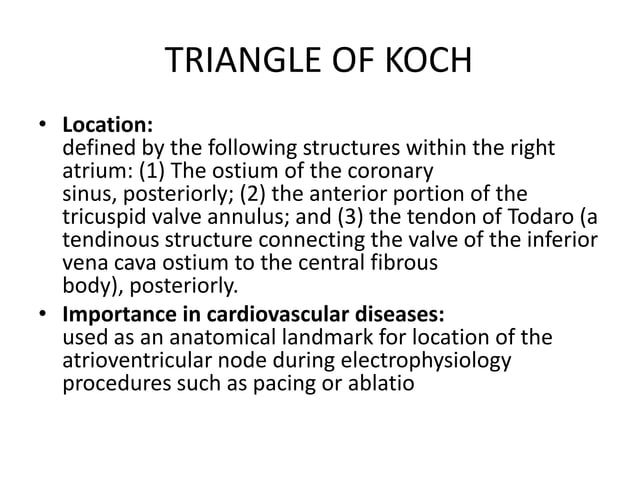 Surgical anatomy of right atrium | PPT