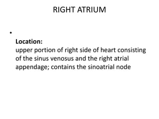 Surgical anatomy of right atrium | PPTX