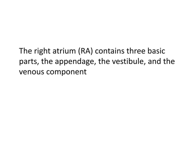 Surgical anatomy of right atrium | PPT