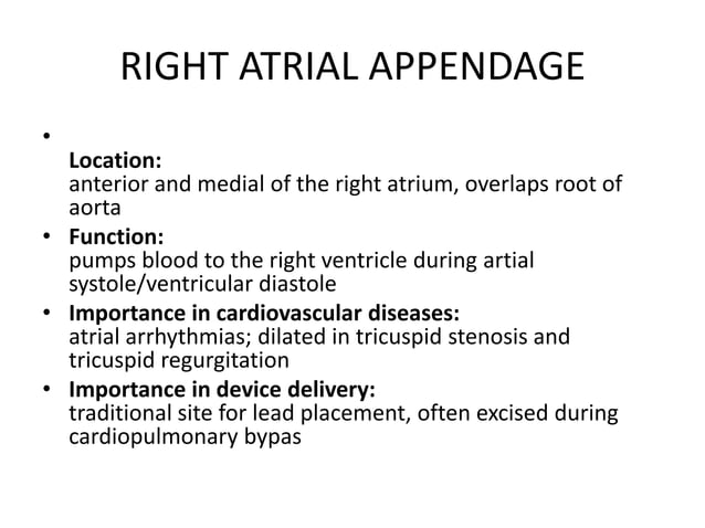 Surgical anatomy of right atrium | PPT