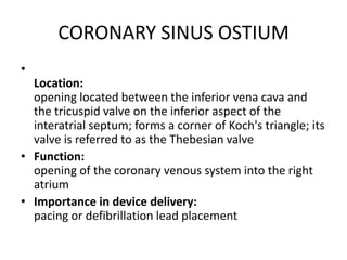 Surgical anatomy of right atrium | PPTX