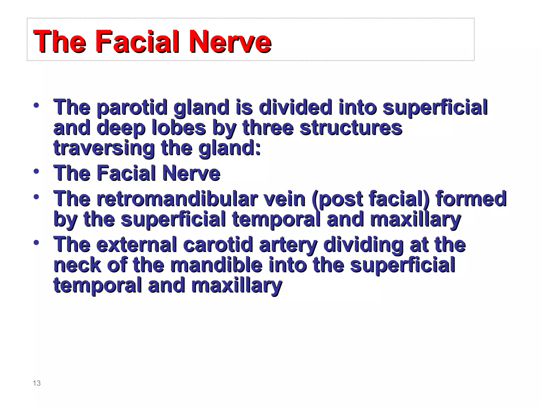 Surgical anatomy of salivary glands | PPT