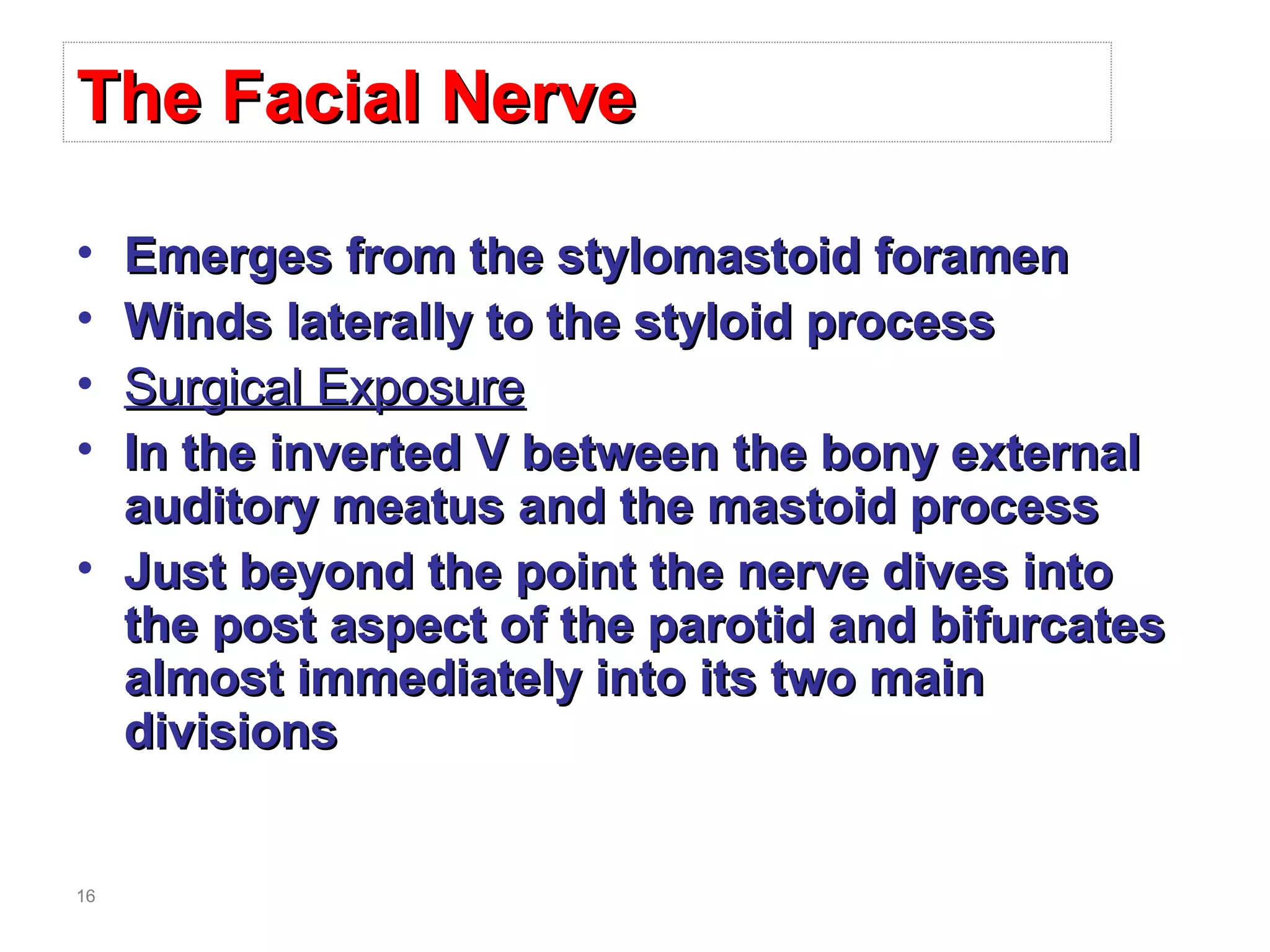 Surgical anatomy of salivary glands | PPT