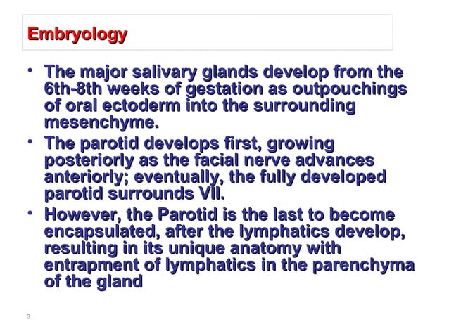 Surgical anatomy of salivary glands | PPT | Ear, Nose and Throat ...