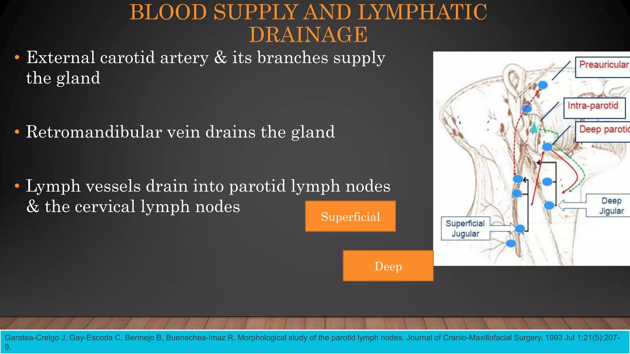 Surgical anatomy of salivary glands | PPTX