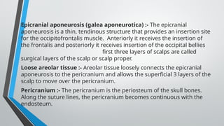 Surgical anatomy of scalp.pptx for seminar preesntation | PPTX