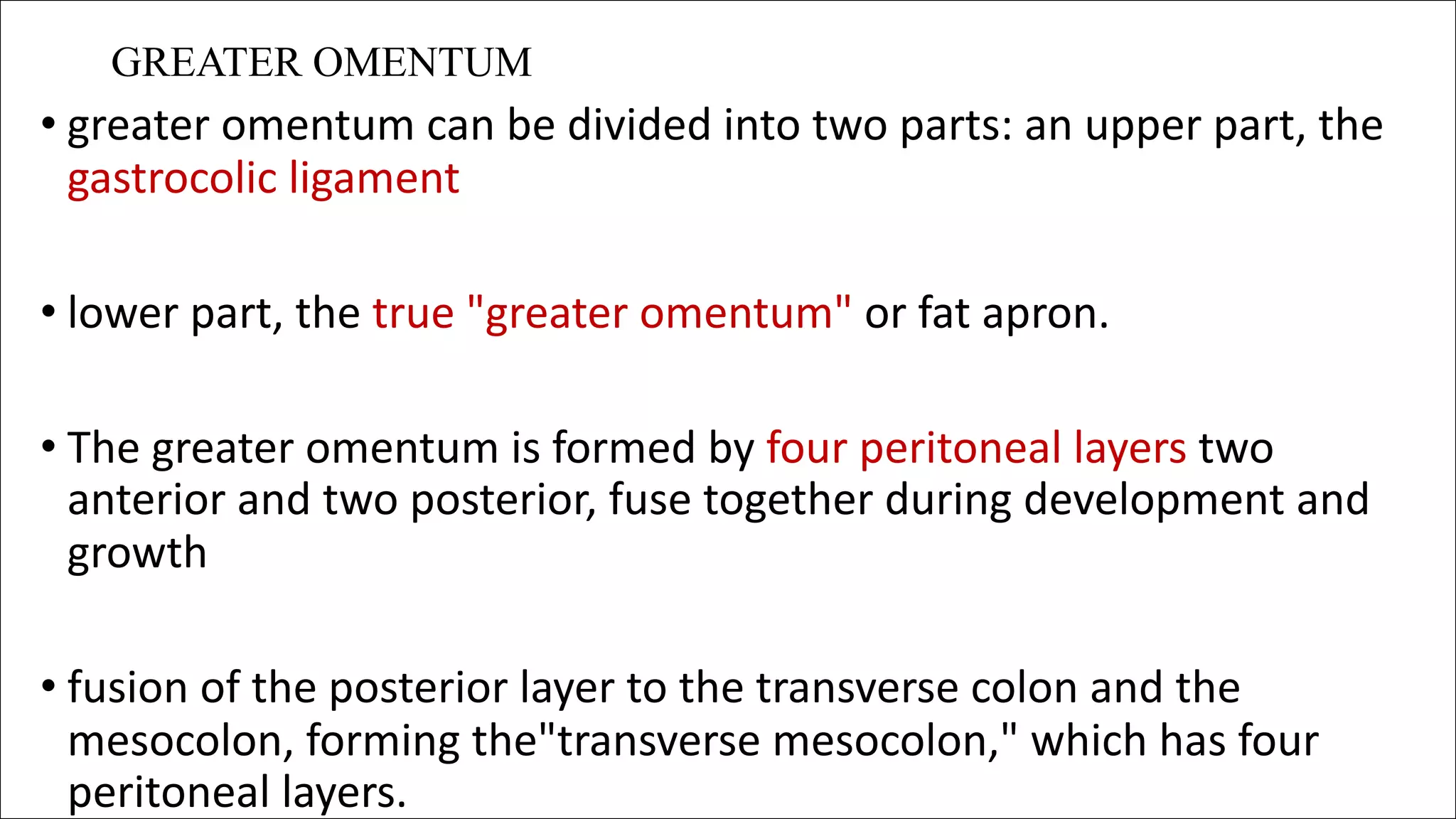 SURGICAL ANATOMY OF STOMACH AND DUODENUM dr. bruhath^final. .pdf