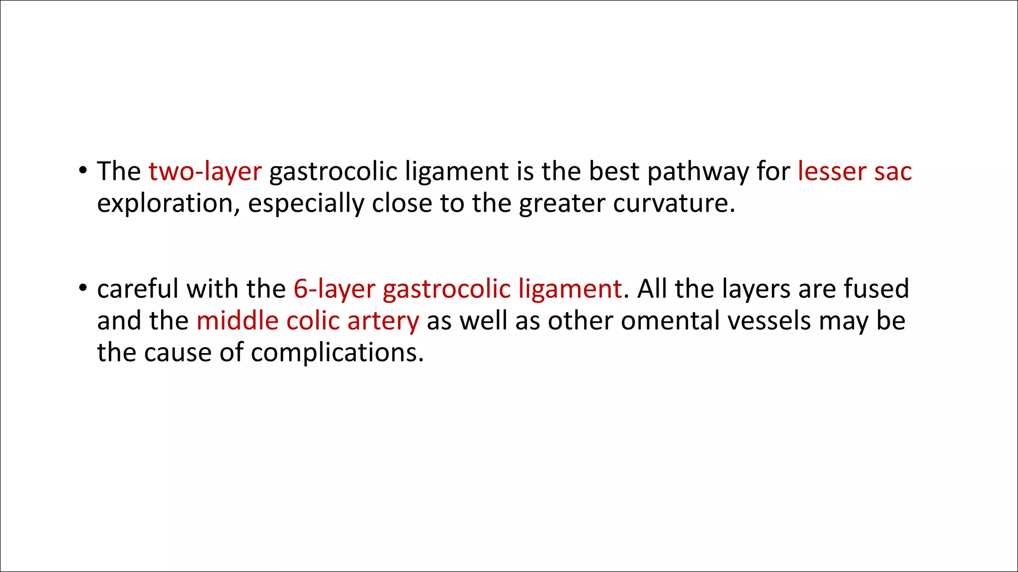 SURGICAL ANATOMY OF STOMACH AND DUODENUM dr. bruhath^final. .pdf