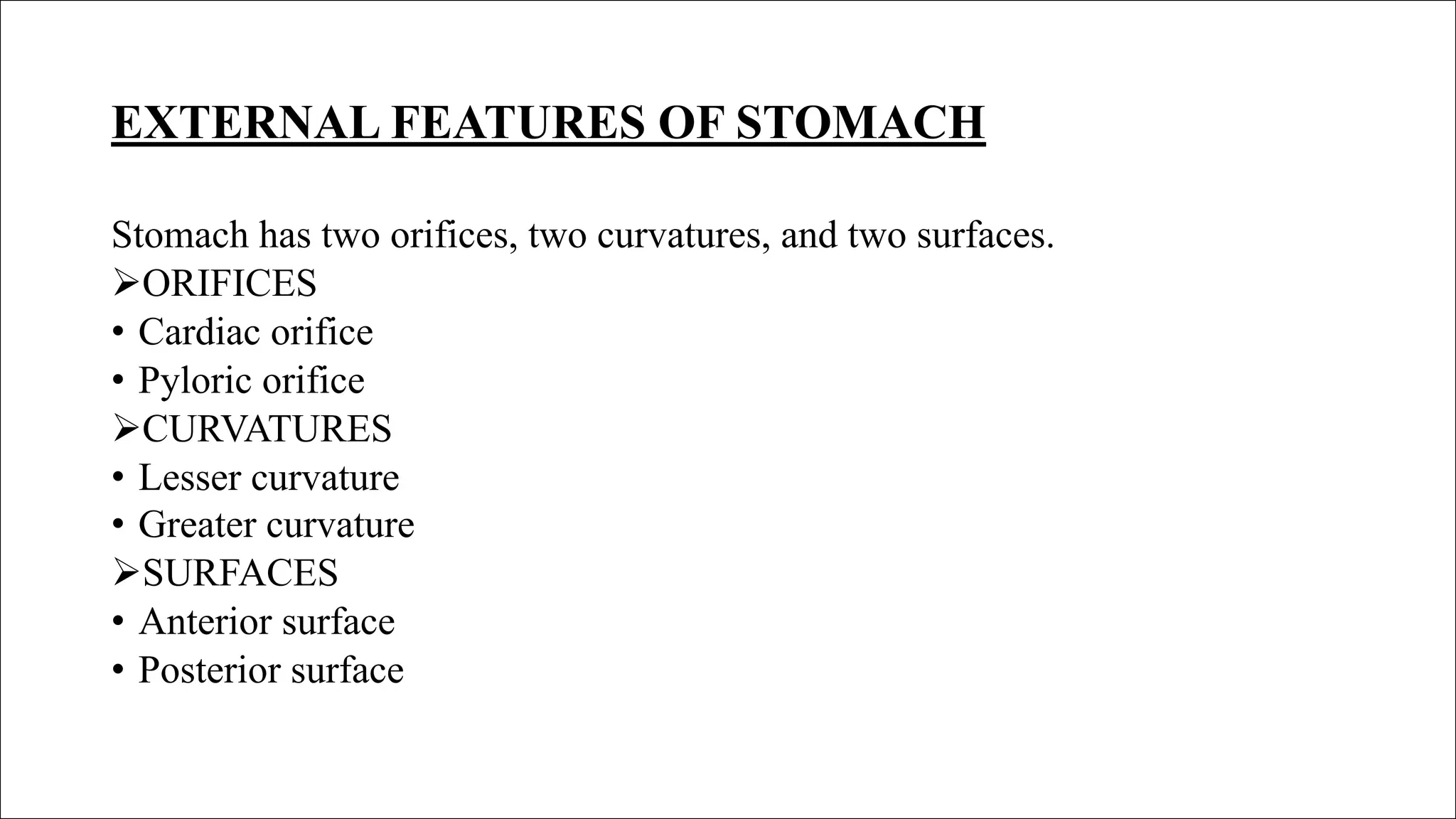 SURGICAL ANATOMY OF STOMACH AND DUODENUM dr. bruhath^final. .pdf