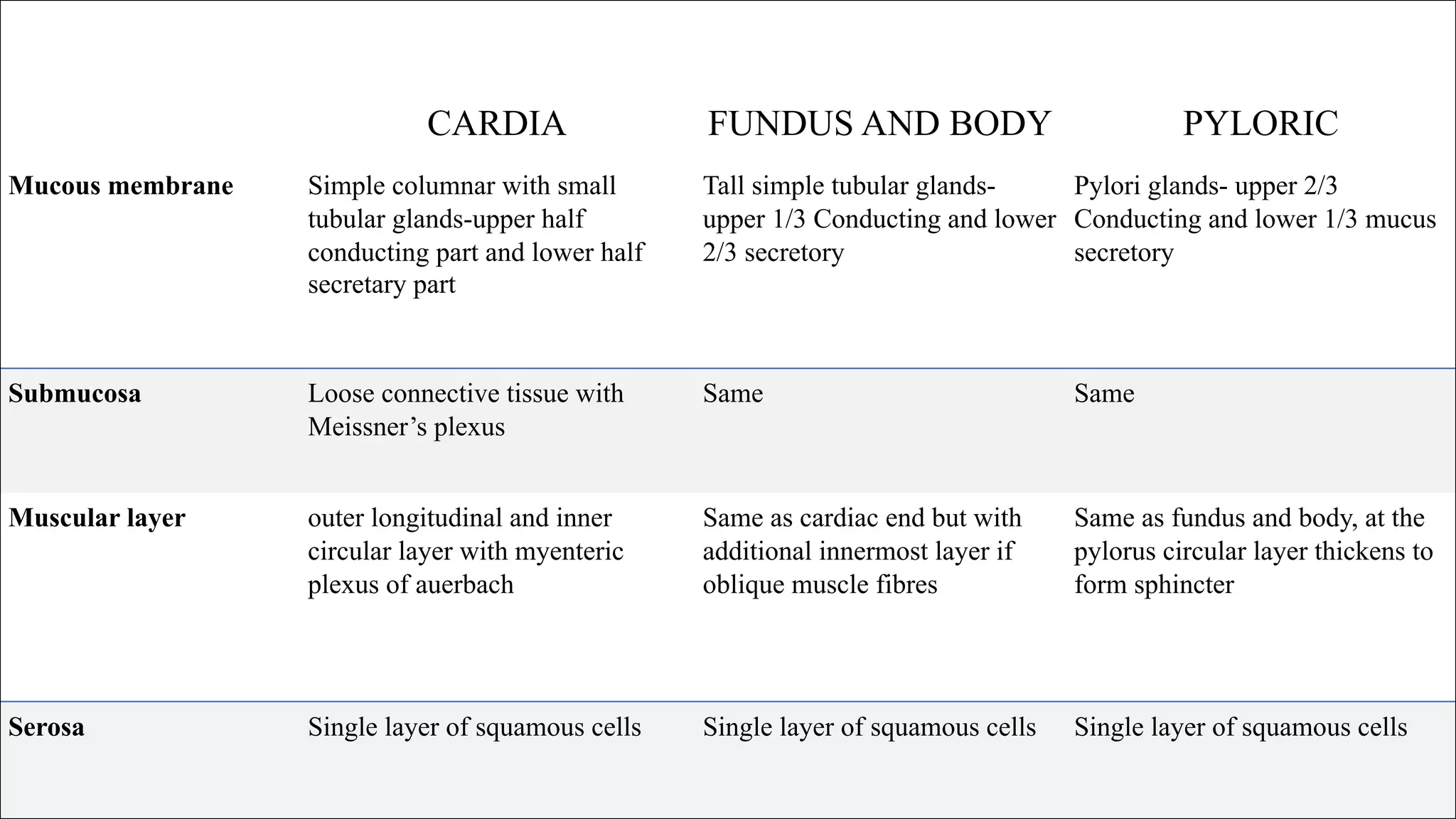 SURGICAL ANATOMY OF STOMACH AND DUODENUM dr. bruhath^final. .pdf
