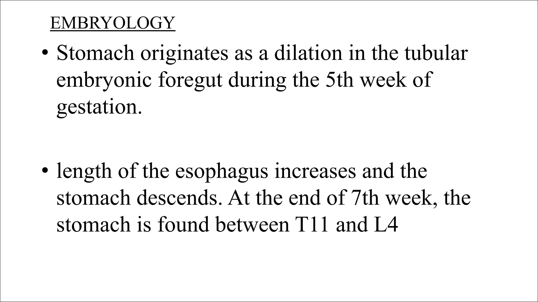 SURGICAL ANATOMY OF STOMACH AND DUODENUM dr. bruhath^final. .pdf