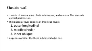 SURGICAL ANATOMY OF STOMACH AND DUODENUM dr. bruhath^final. .pdf