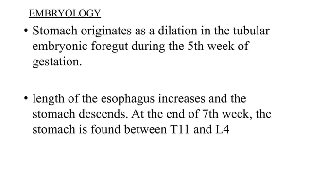 SURGICAL ANATOMY OF STOMACH AND DUODENUM dr. bruhath^final. .pdf