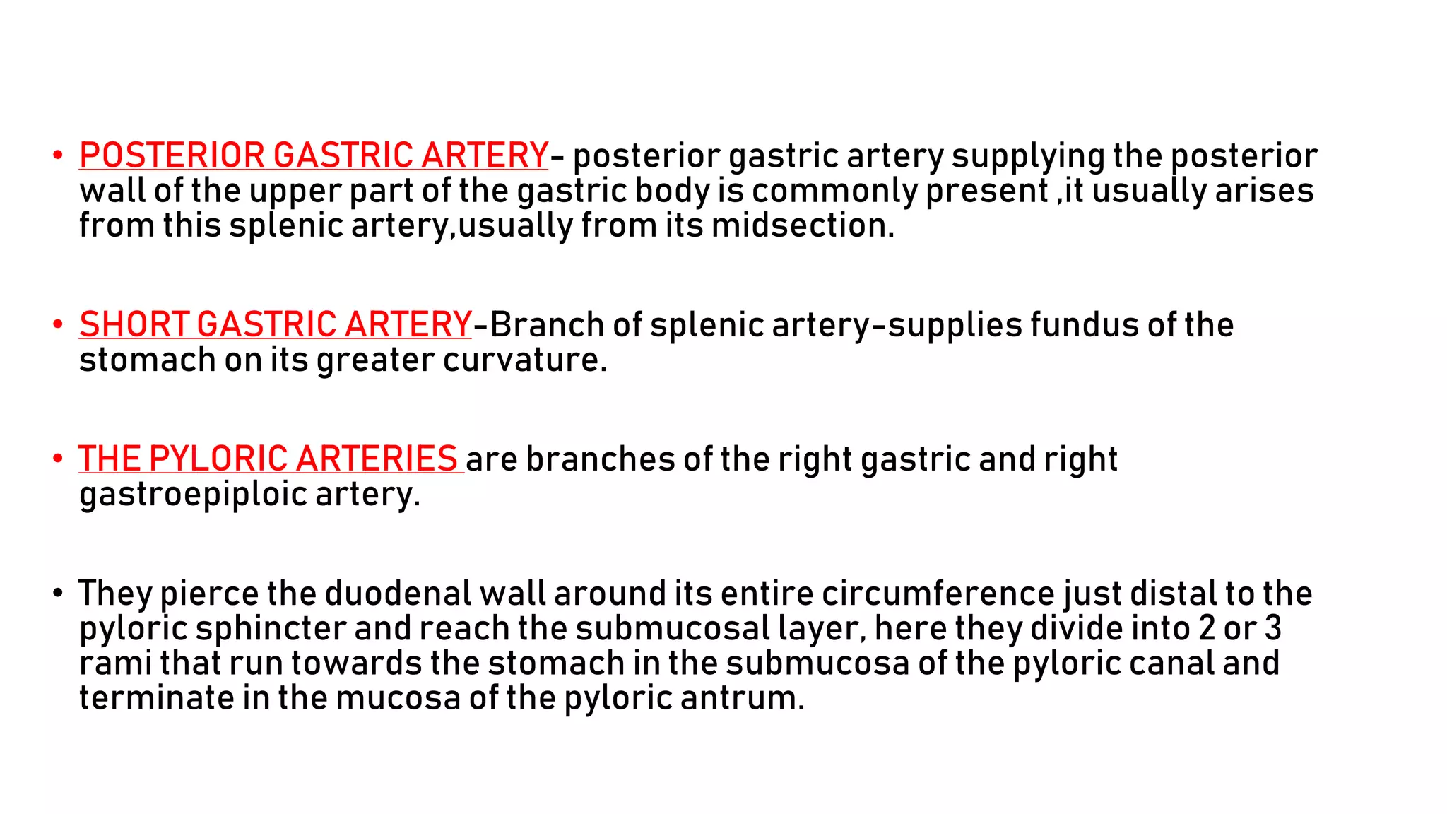 SURGICAL ANATOMY OF STOMACH [Autosaved].pptx