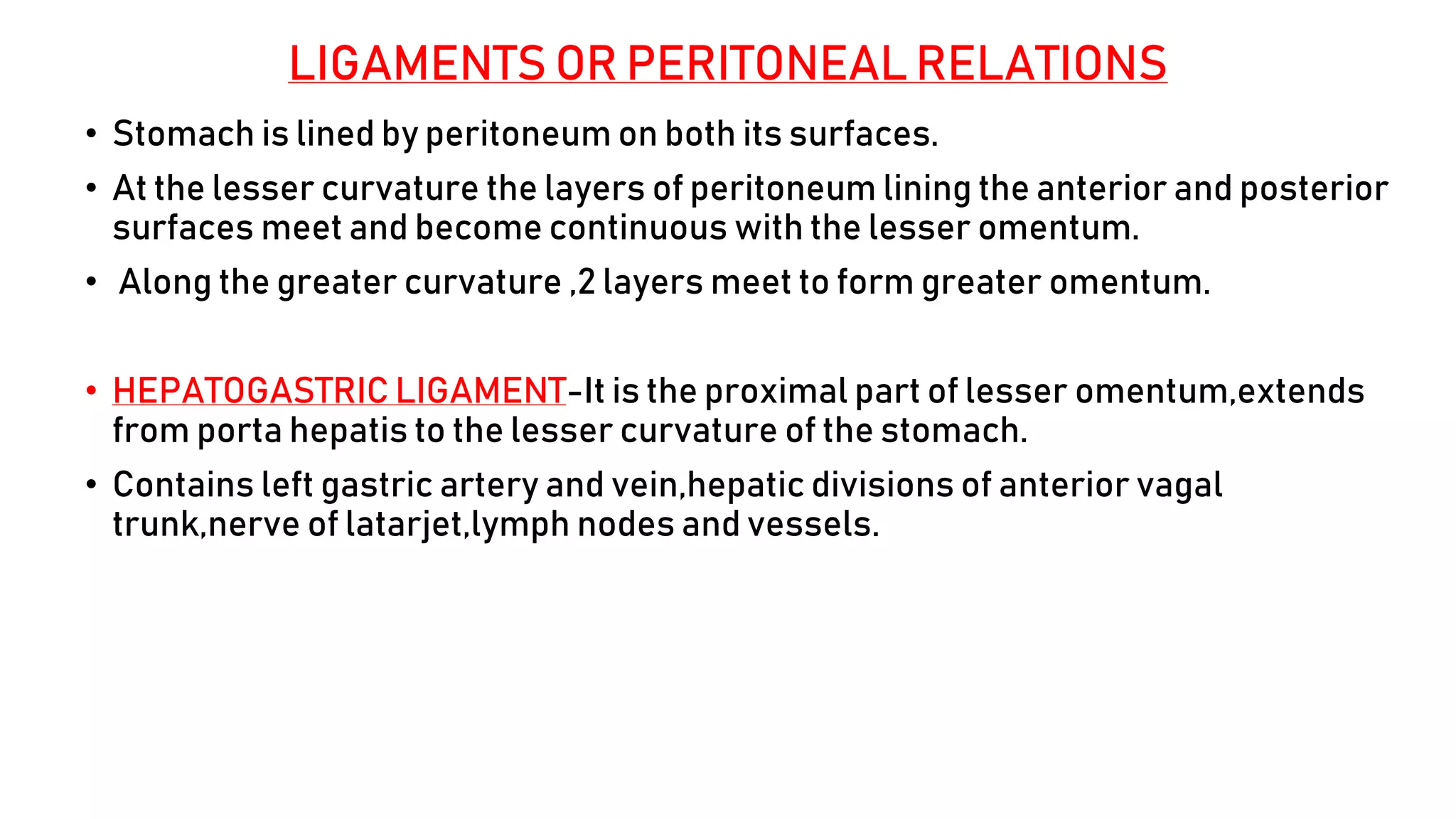 SURGICAL ANATOMY OF STOMACH [Autosaved].pptx