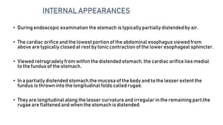 SURGICAL ANATOMY OF STOMACH [Autosaved].pptx