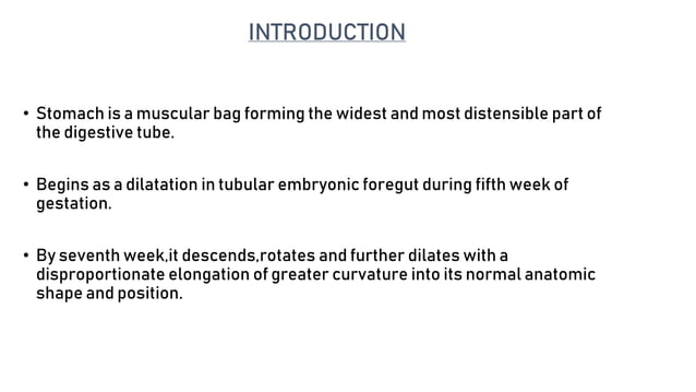 SURGICAL ANATOMY OF STOMACH [Autosaved].pptx