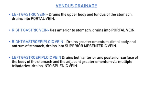 SURGICAL ANATOMY OF STOMACH [Autosaved].pptx