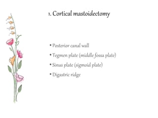 SURGICAL ANATOMY OF TB - 2017.pptx