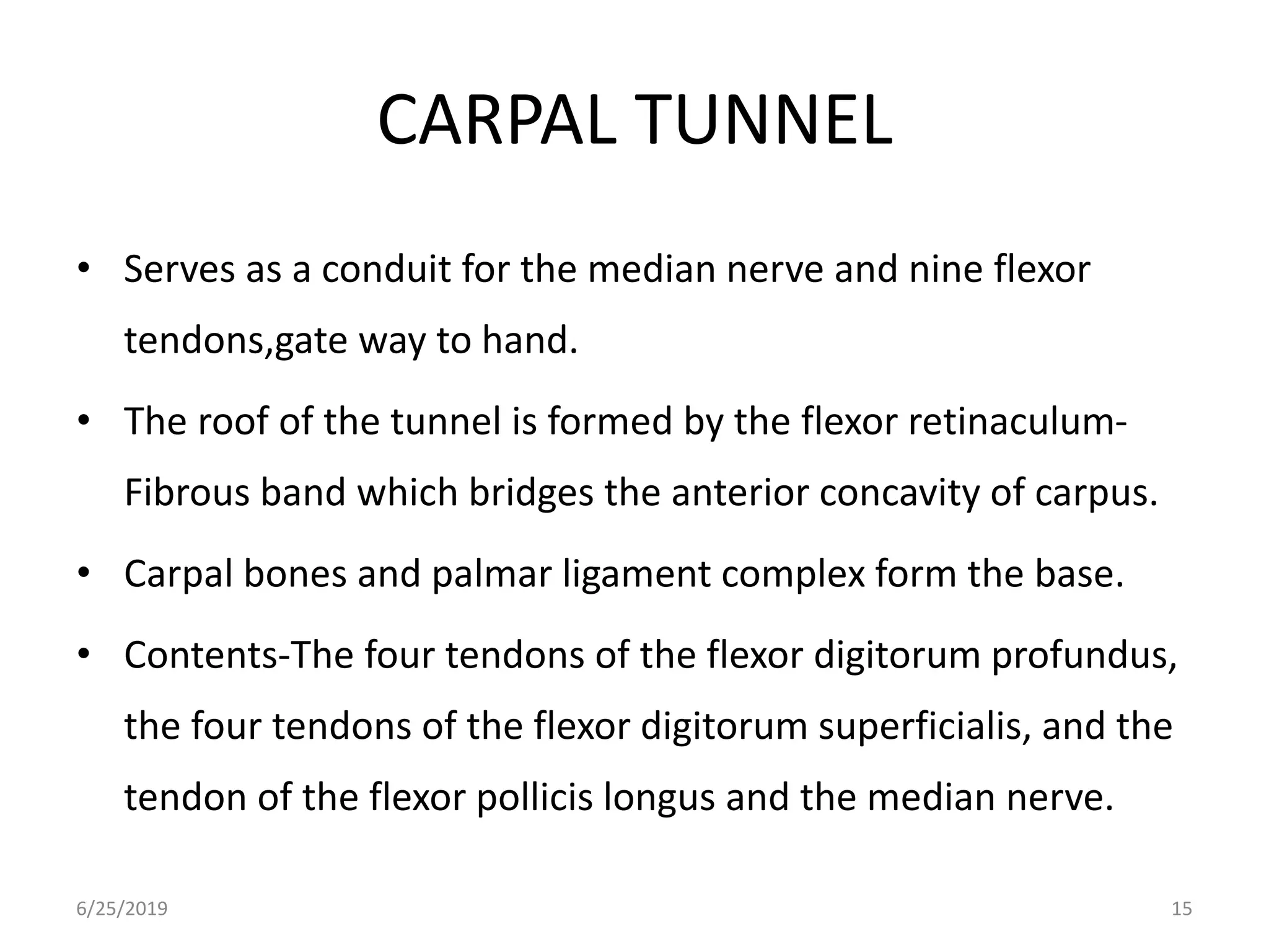 Surgical anatomy of the hand copy - copy | PPTX