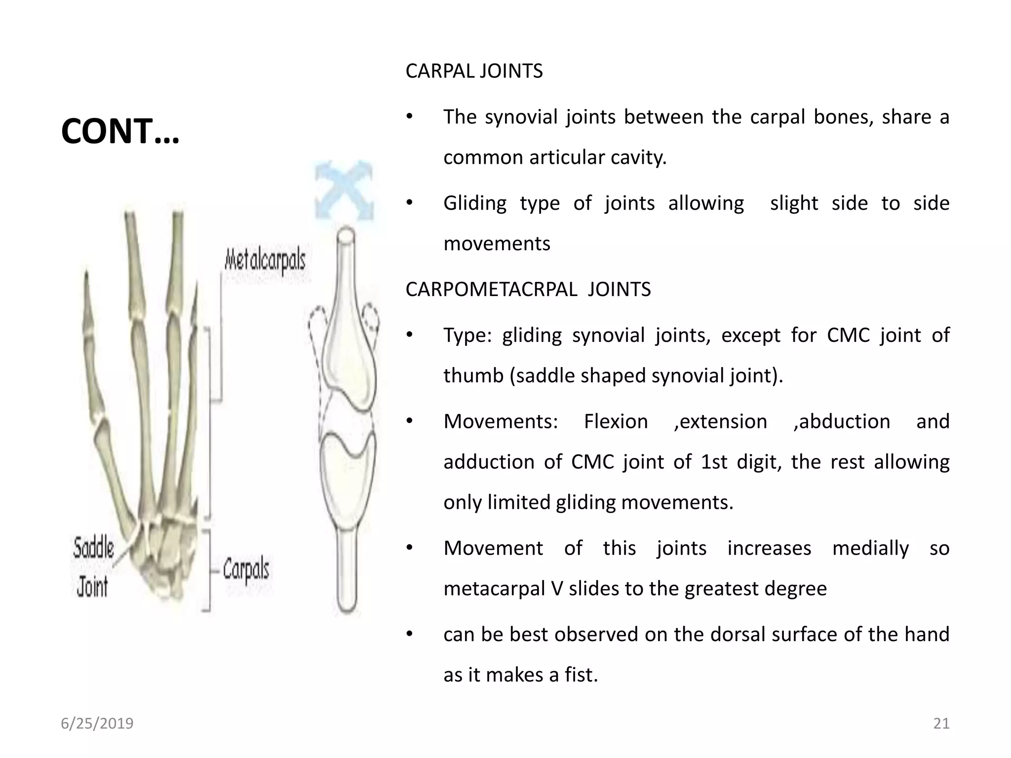 Surgical anatomy of the hand copy - copy | PPTX