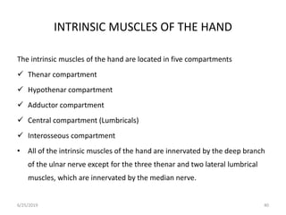 Surgical anatomy of the hand copy - copy | PPTX