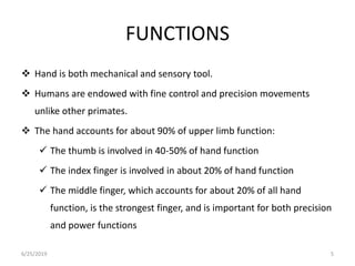 Surgical anatomy of the hand copy - copy | PPTX