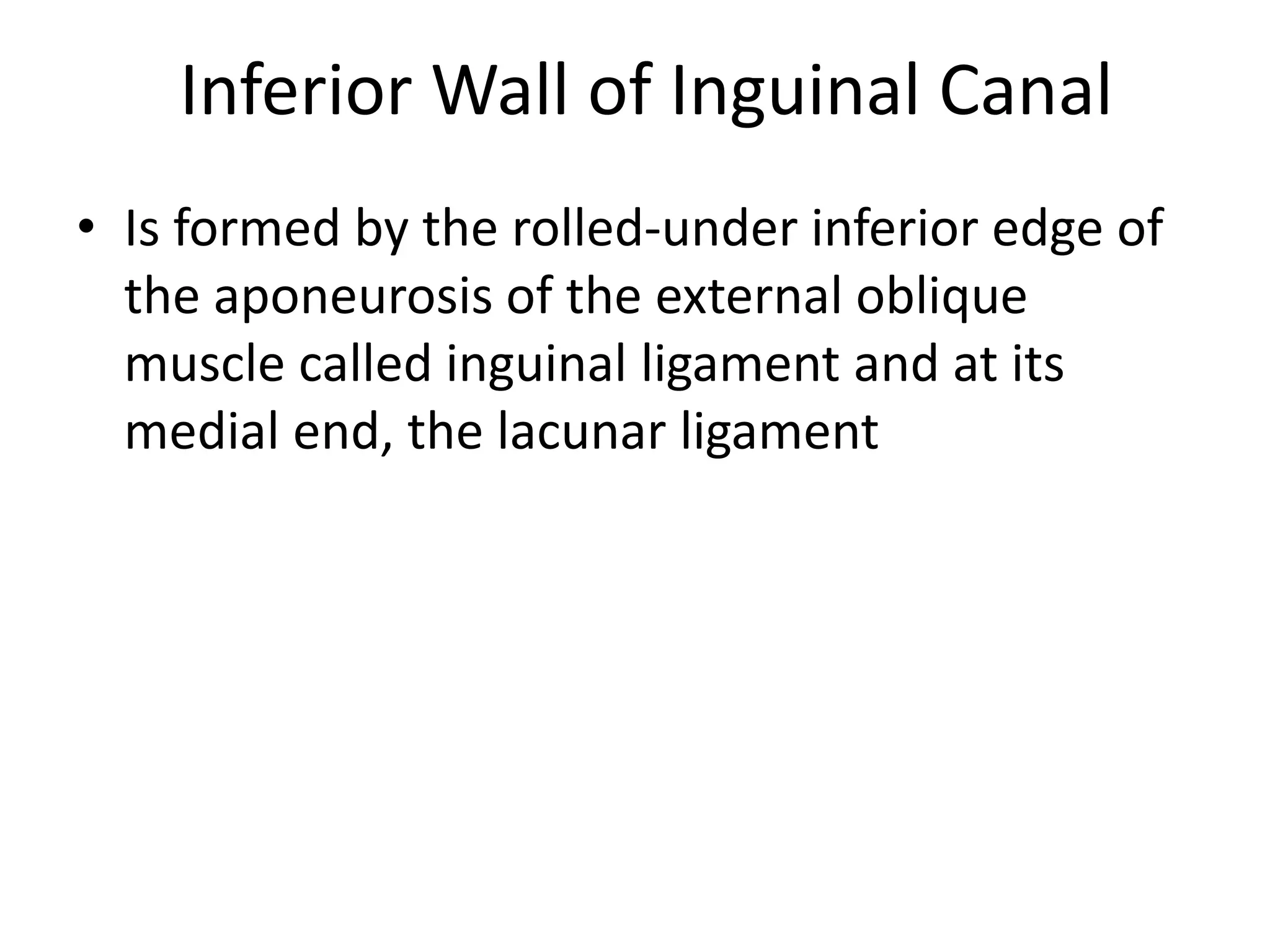 Surgical anatomy of the inguinal canal | PPTX