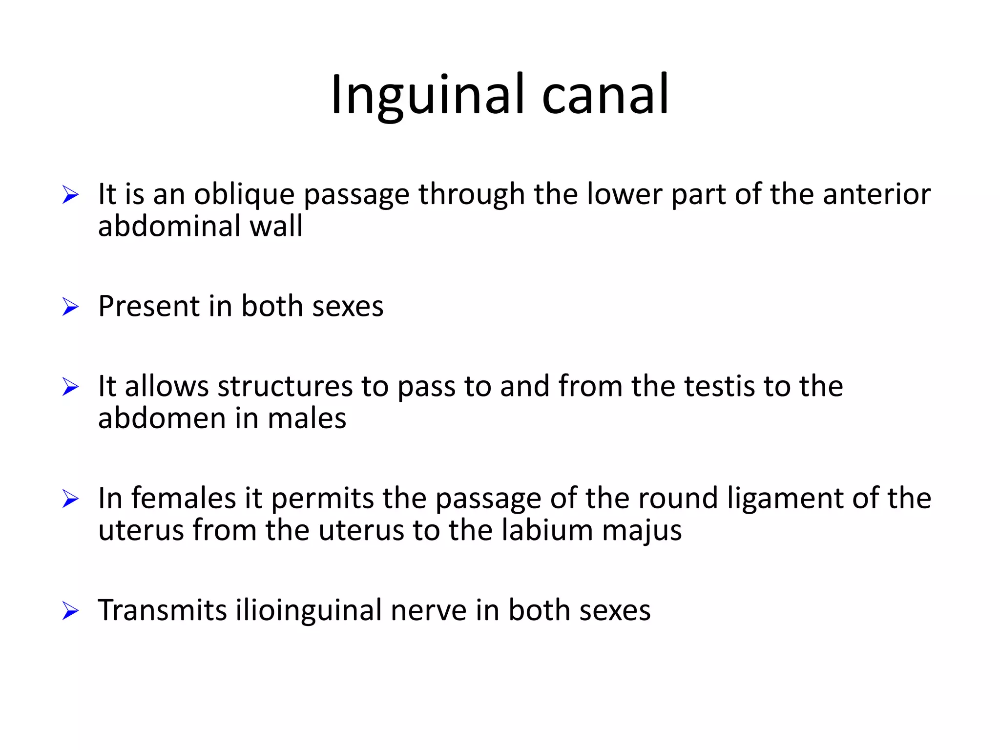 Surgical anatomy of the inguinal canal | PPTX