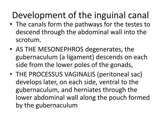 Surgical anatomy of the inguinal canal | PPTX