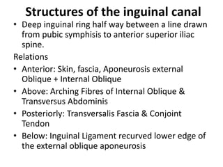 Surgical anatomy of the inguinal canal | PPTX