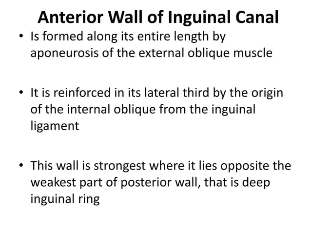 Surgical anatomy of the inguinal canal | PPTX