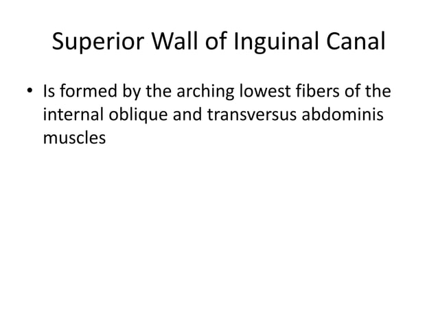 Surgical anatomy of the inguinal canal | PPTX