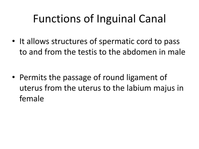 Surgical anatomy of the inguinal canal | PPTX