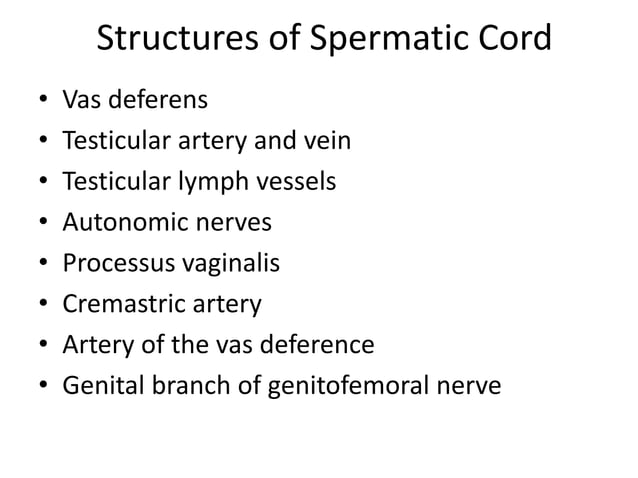 Surgical Anatomy Of The Inguinal Canal Ppt